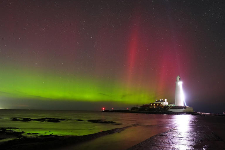 ‘Cannibal’ solar storm could be biggest to hit planet for 20 years ...