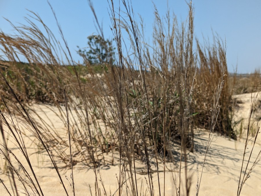 Virginia Beach hosts month-long Winter Wildlife Festival