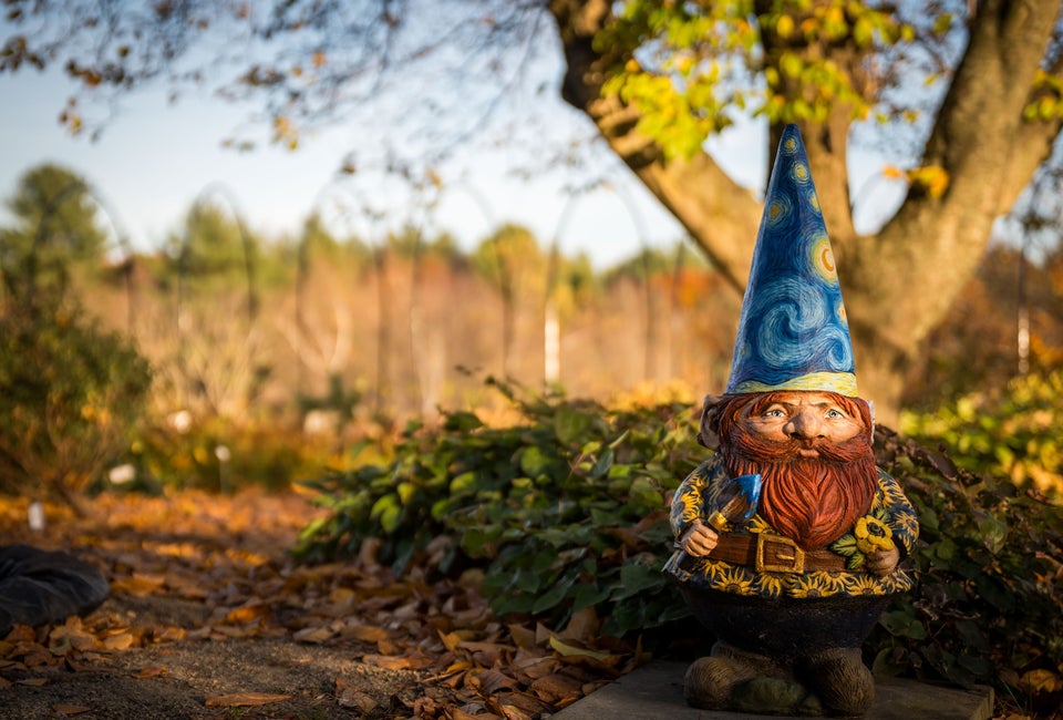 America's Hometown Thanksgiving Celebration and More Things to Do in ...