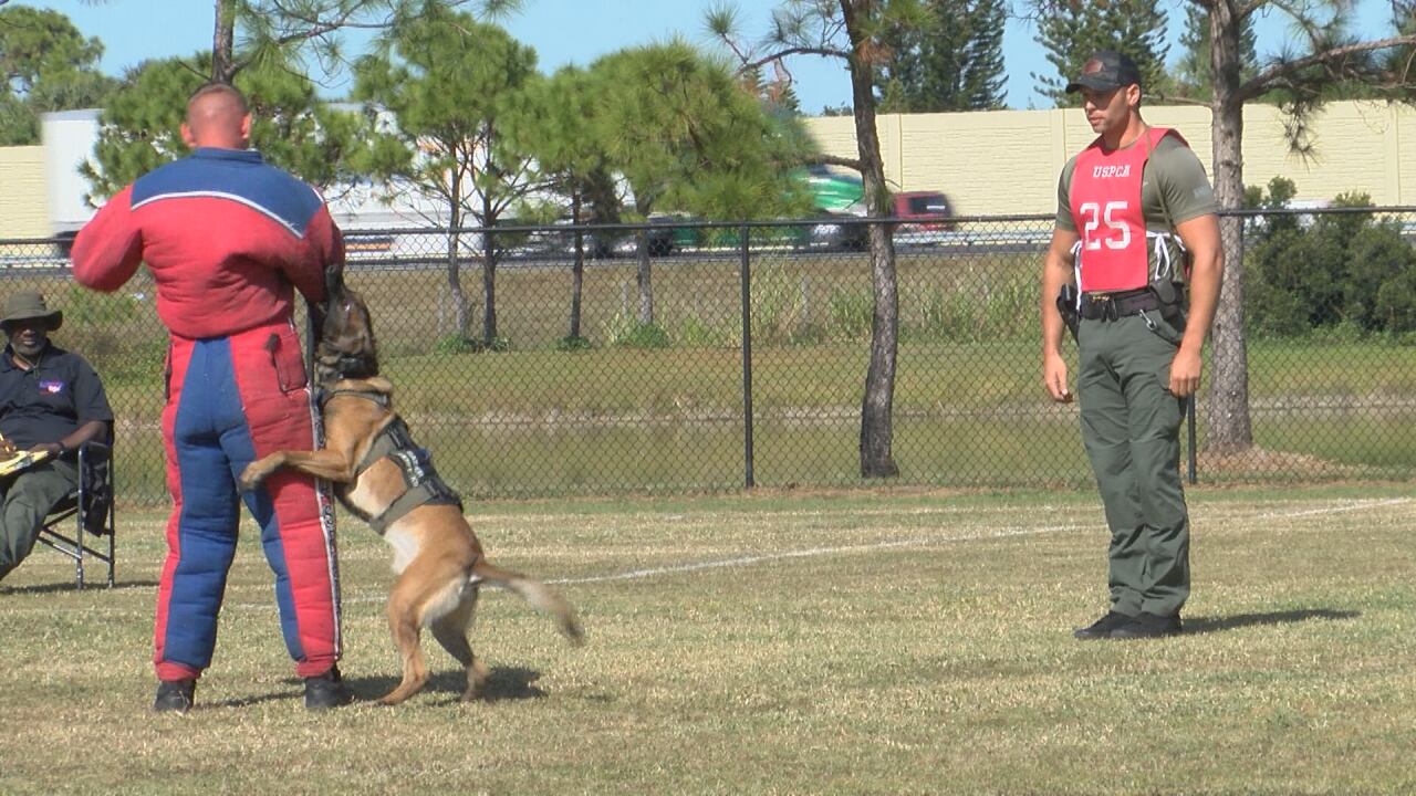 Over 70 Police K-9 Gather in Manatee Co. for National Competition