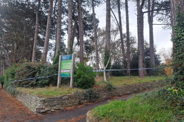 Failed asylum seeker pleads not guilty to rape of woman in Bournemouth