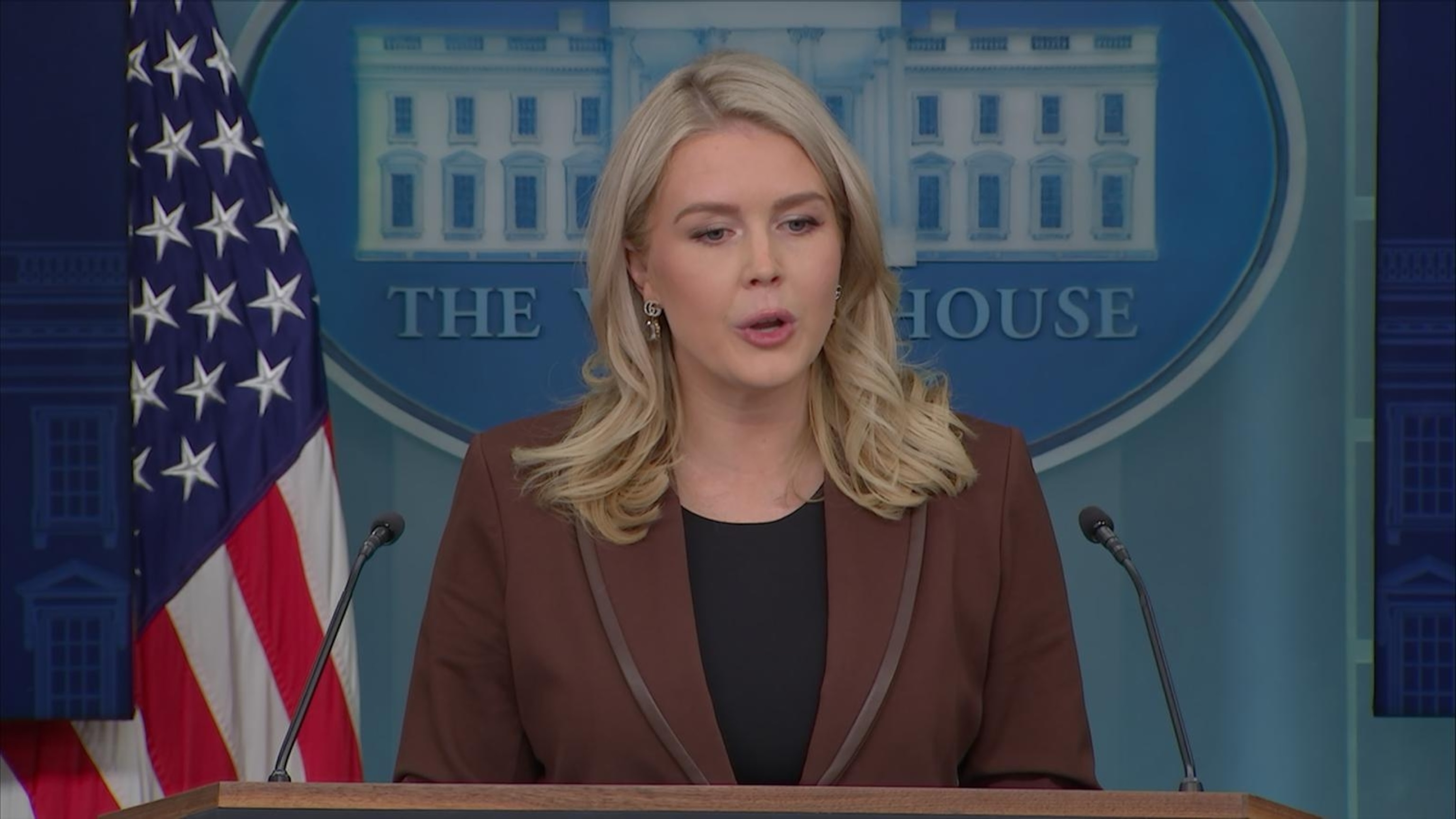 White House Press Secretary on Epstein emails: 'President Trump did ...