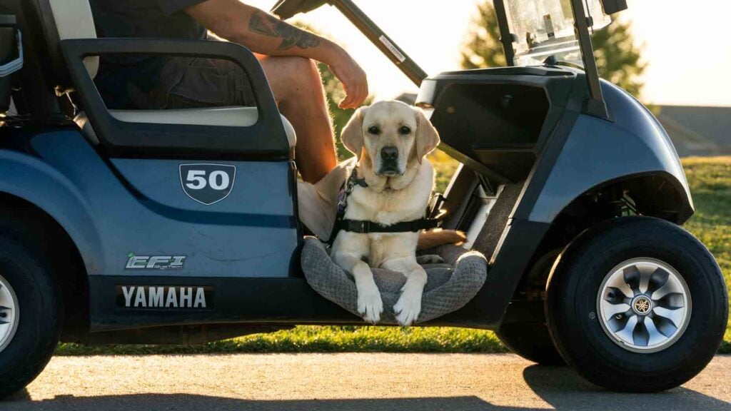 A golf course marshal was dying. Then he felt his best friend's paw