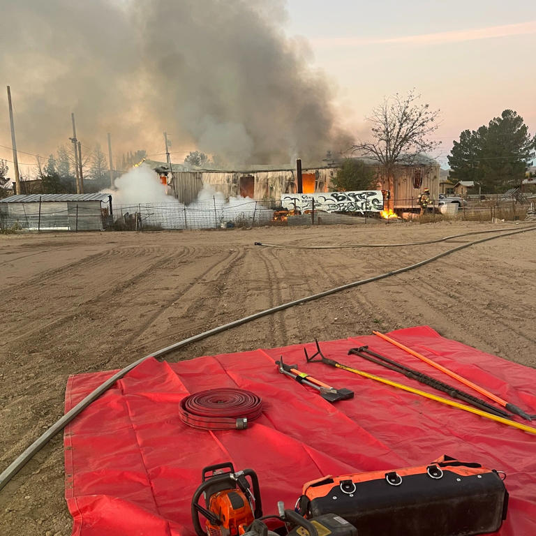 PETA protestará en El Paso para exigir el retiro de Betty elefanta ...