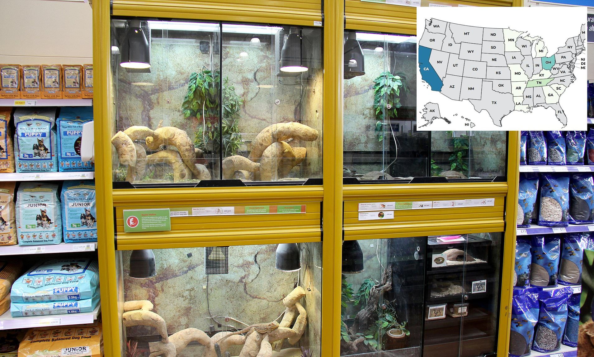 Health officials warn of deadly bacteria lurking in household pets ...