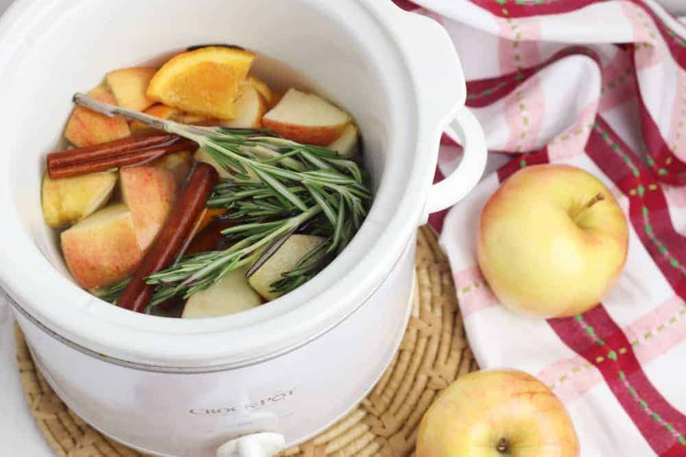 Crockpot fall simmer pot recipe