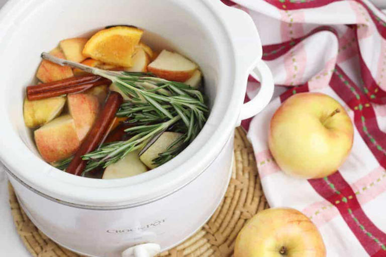 Crockpot fall simmer pot recipe