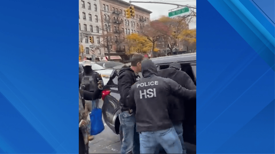 ‘Screaming in despair’: Federal agents seen taking man in NYC