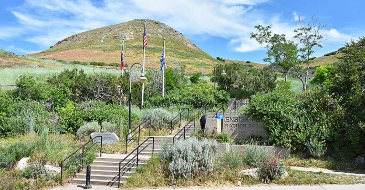 I Visited Salt Lake City With Low Expectations And Left Completely