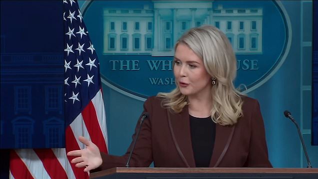 White House doubles down on 'left wing propaganda machine' BBC lawsuit