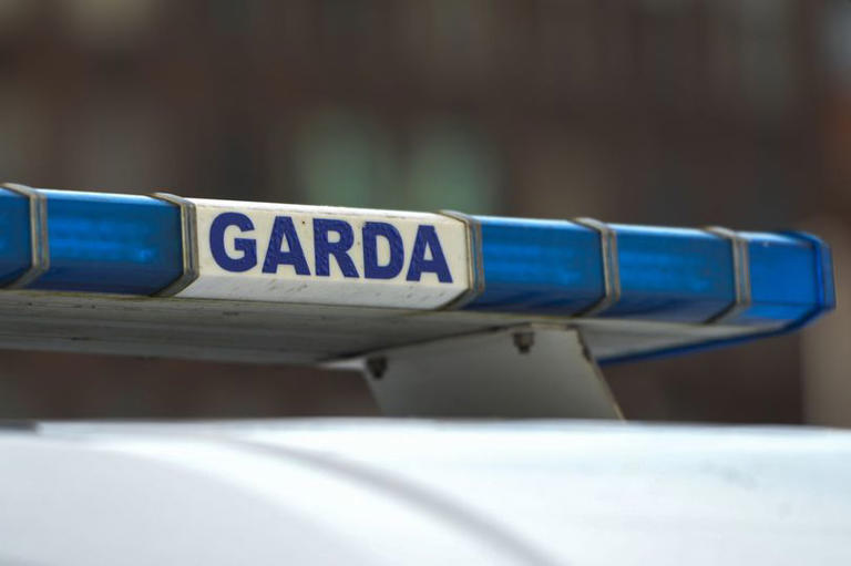 Gardaí appealing for witnesses following a violent incident in Clondalkin