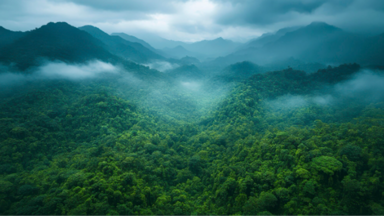 Which Place Is Known as the Scotland of India? Explore Its Location ...