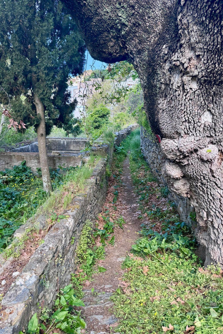 Top Things to Do in Naxos Greece