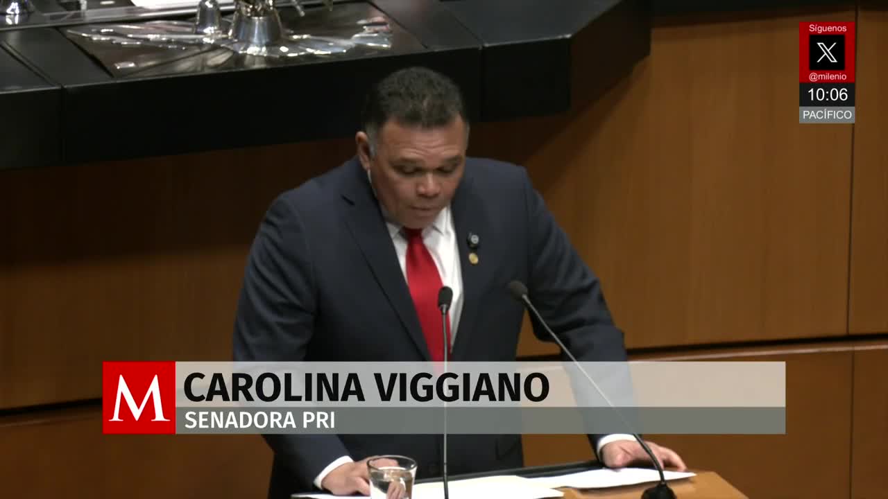 Mario Delgado comparece ante la Cámara Alta del Senado por glosa del ...