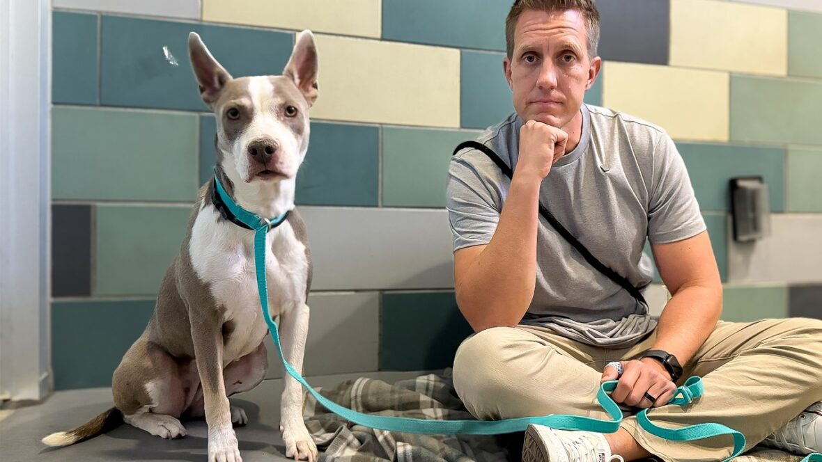 Loyal Dog Stayed Beside Her Owner for Days, Now She Needs a New Beginning