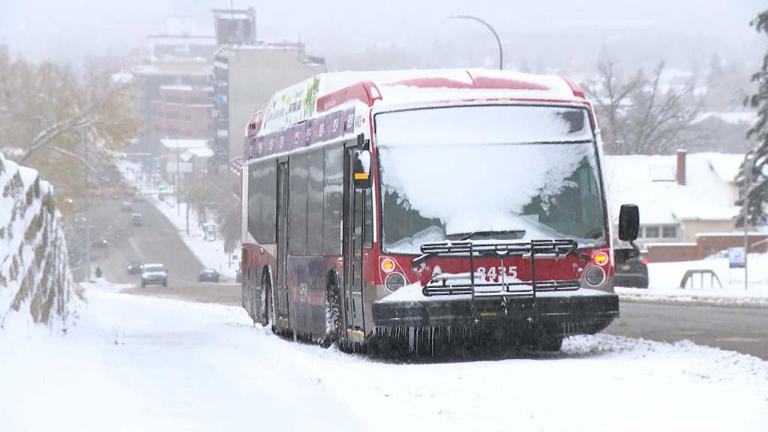Calgary transit switching buses to ‘all-weather’ tires to improve ...