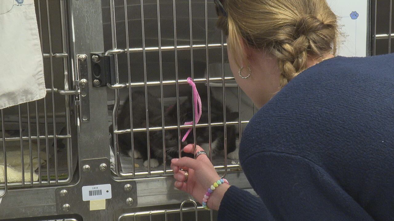 Marion County Animal Services expansion near completion