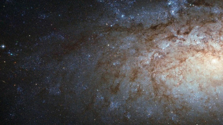 Supernova sighting: Scientists see early stage for first time