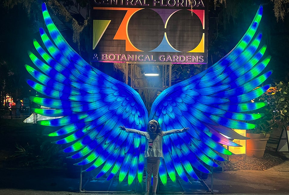 Dog Man, Music Festivals, Holiday Events, and More Fun Things to Do in ...