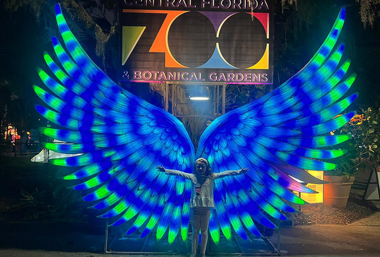 Jingle Eve, Christmas on the Farm, and More Fun Things to Do in Orlando ...