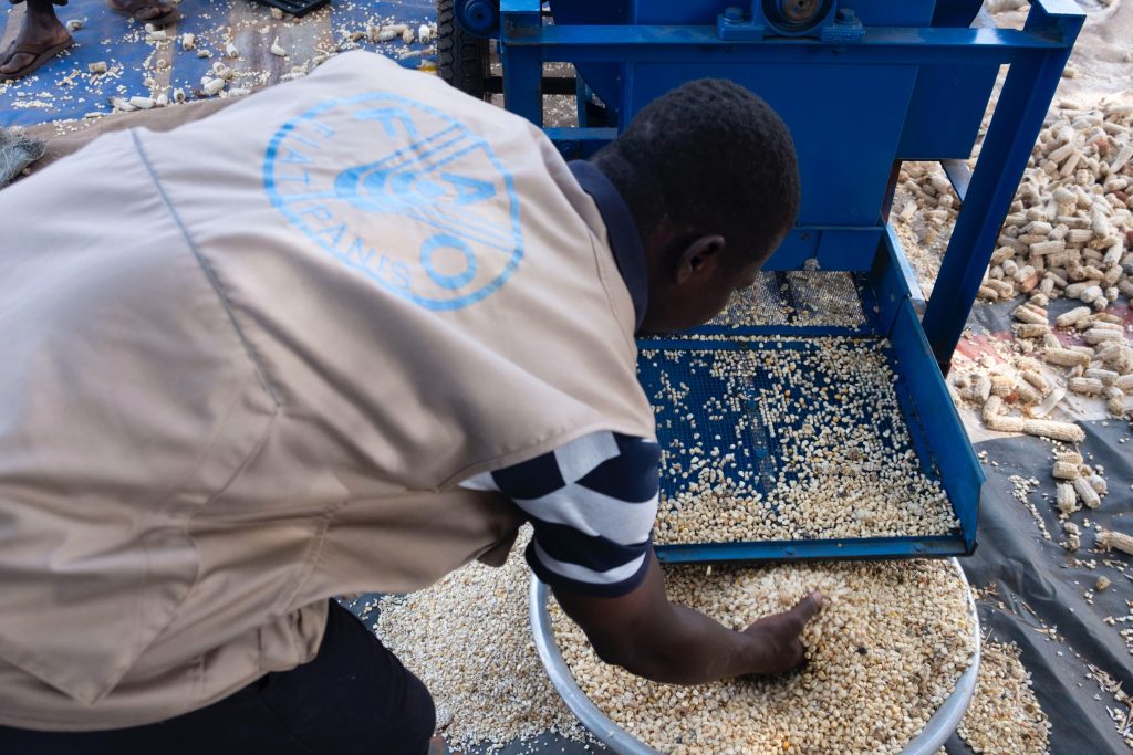 FAO trains agricultural extension agents on post-harvest management ...