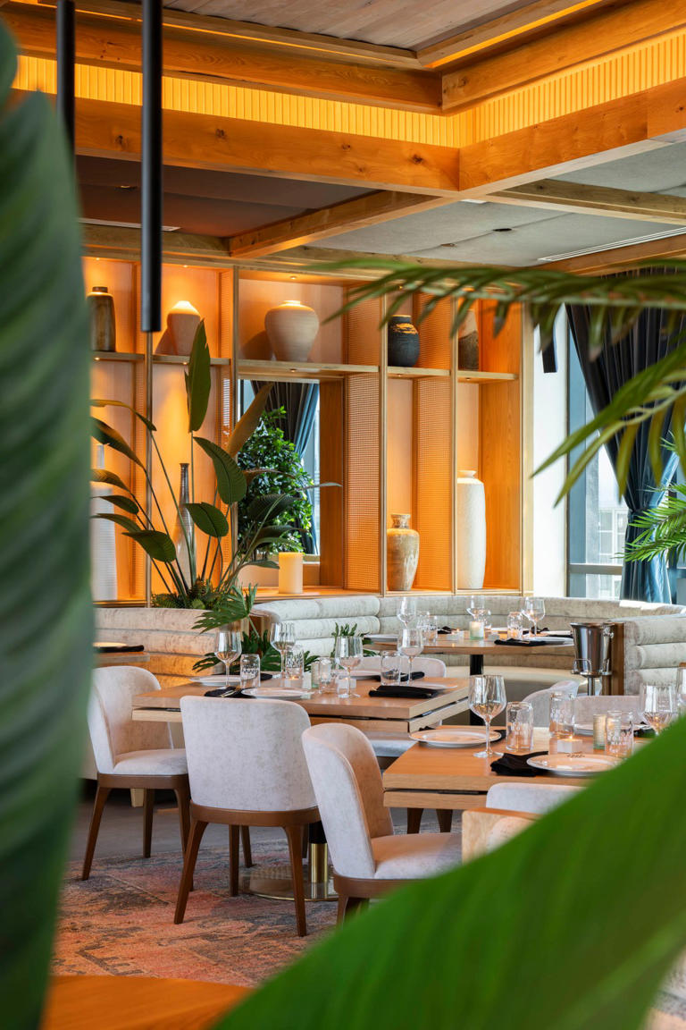 NYC restaurateur cancels expansion plans following Zohran Mamdani ...