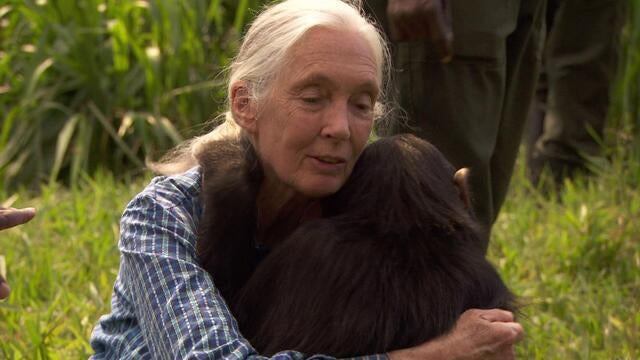 How motherhood changed Jane Goodall | 60 Minute Archive
