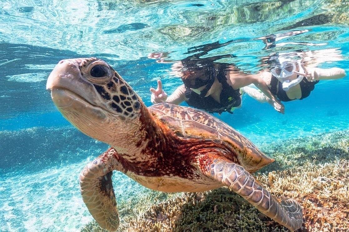 7 Spots on Expedia's Destination of the Year List Worth Booking