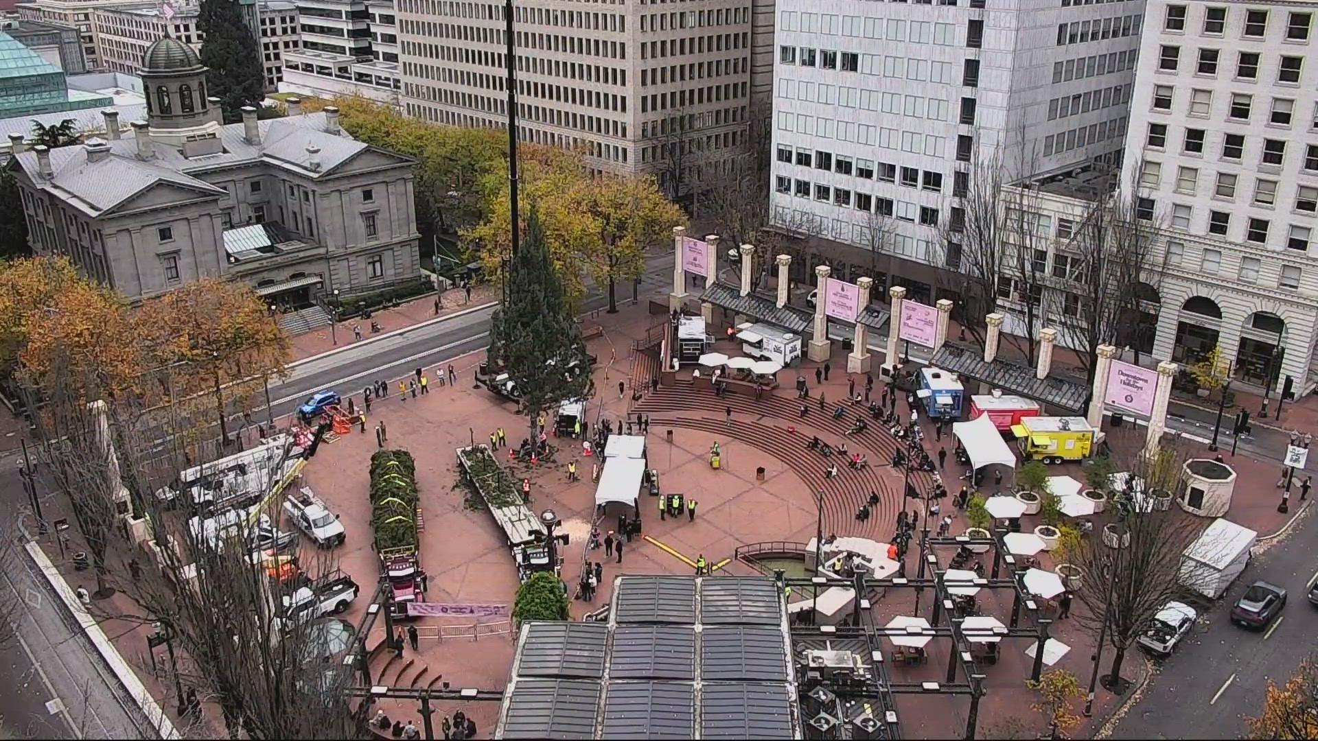 Christmas tree arrives in Portland Pioneer Courthouse Square