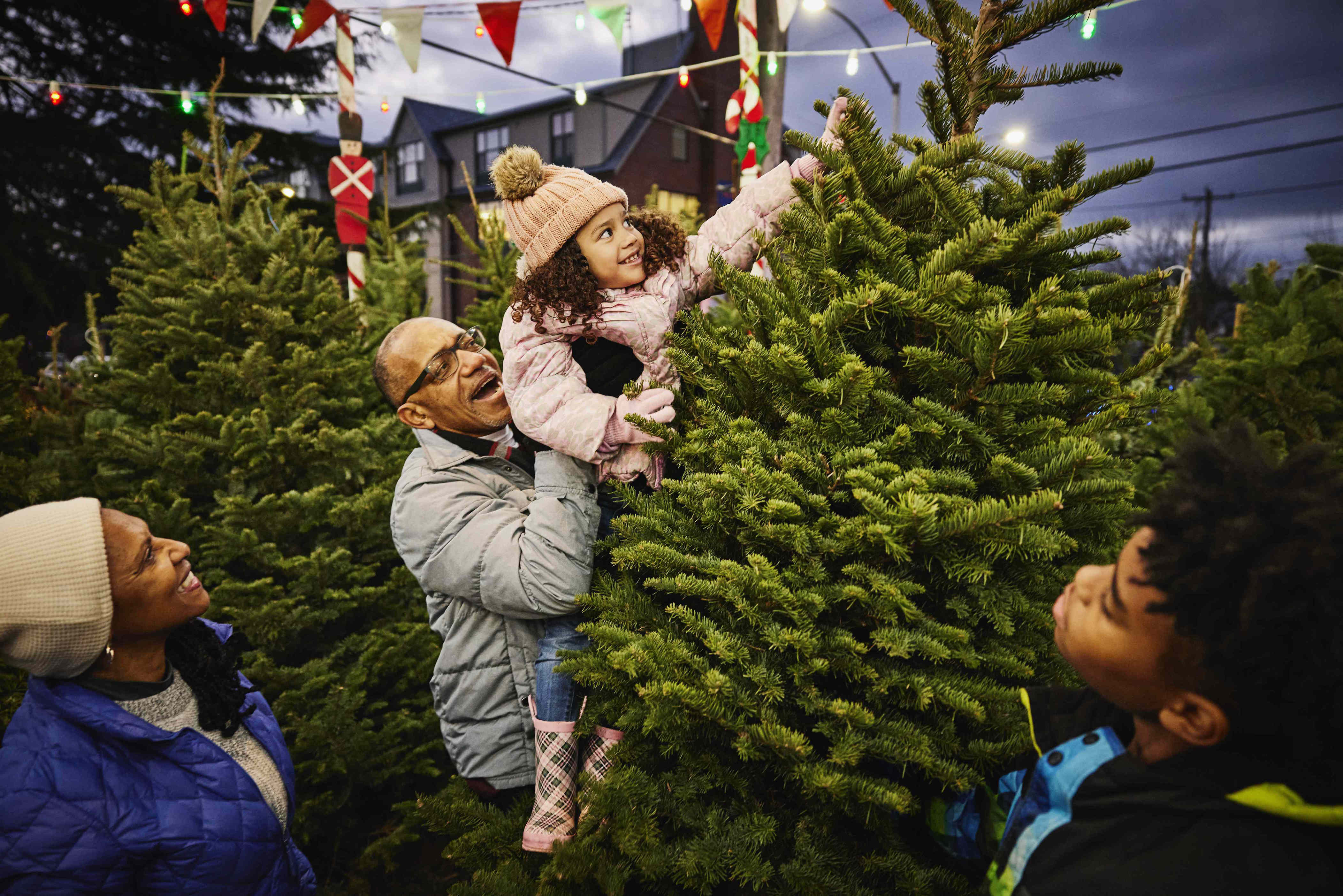 This Is The Best Time To Buy A Christmas Tree So It Doesn’t Dry Out Too ...