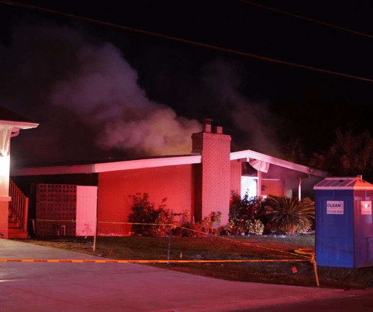 Dog dies after fire breaks out at South Tampa home