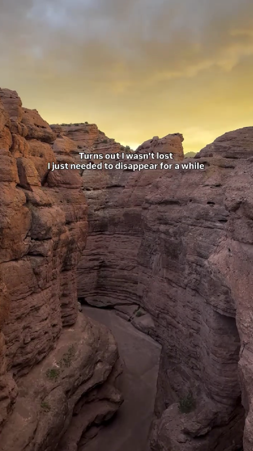 No Plan, Just Go – The Road Trip That Changed Everything