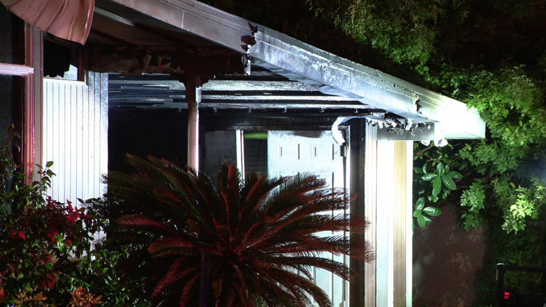 Family of four displaced after Tampa home fire, dog dies: First responders