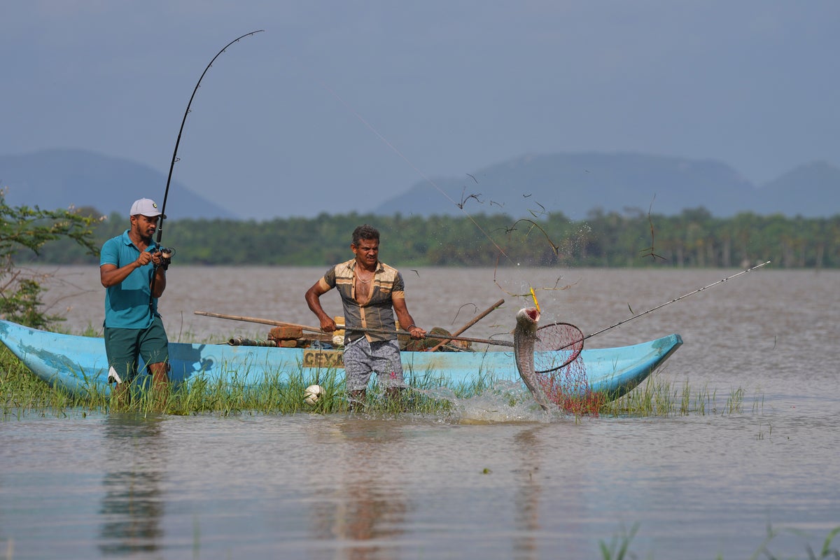 Sri Lankan freshwater fishers keen to turn invasive species threat into ...