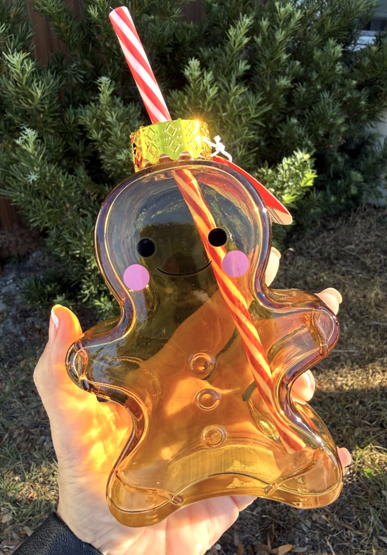 Aldi's $5 Gingerbread Cup Is Cuter Than Starbucks' Viral Bear