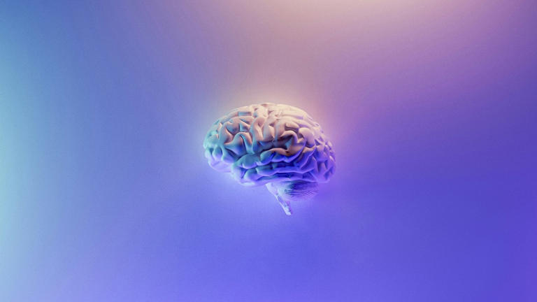 Harvard's critical thinking skills you can use daily