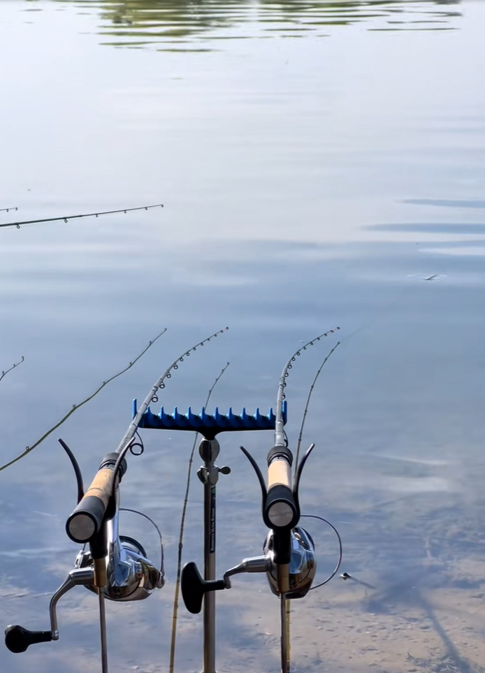 Epic Carp Fishing Adventures and Catches