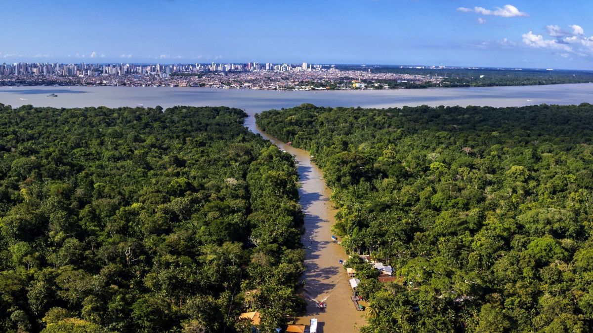 Suzano: Participar das negociações climáticas retroalimentam o setor