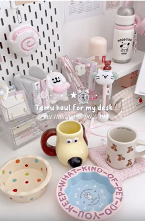 Adorable Temu Finds for Every Space