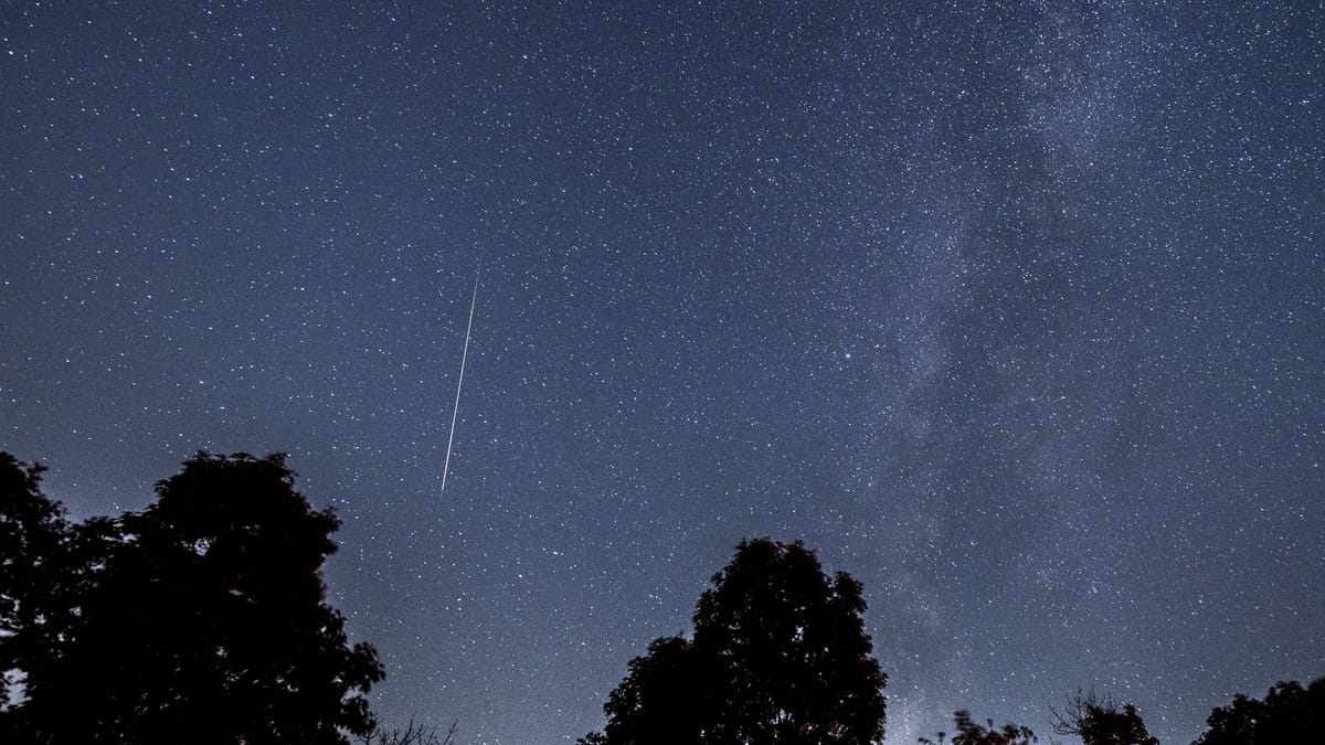 Wann und wo Sie die Leoniden am besten sehen