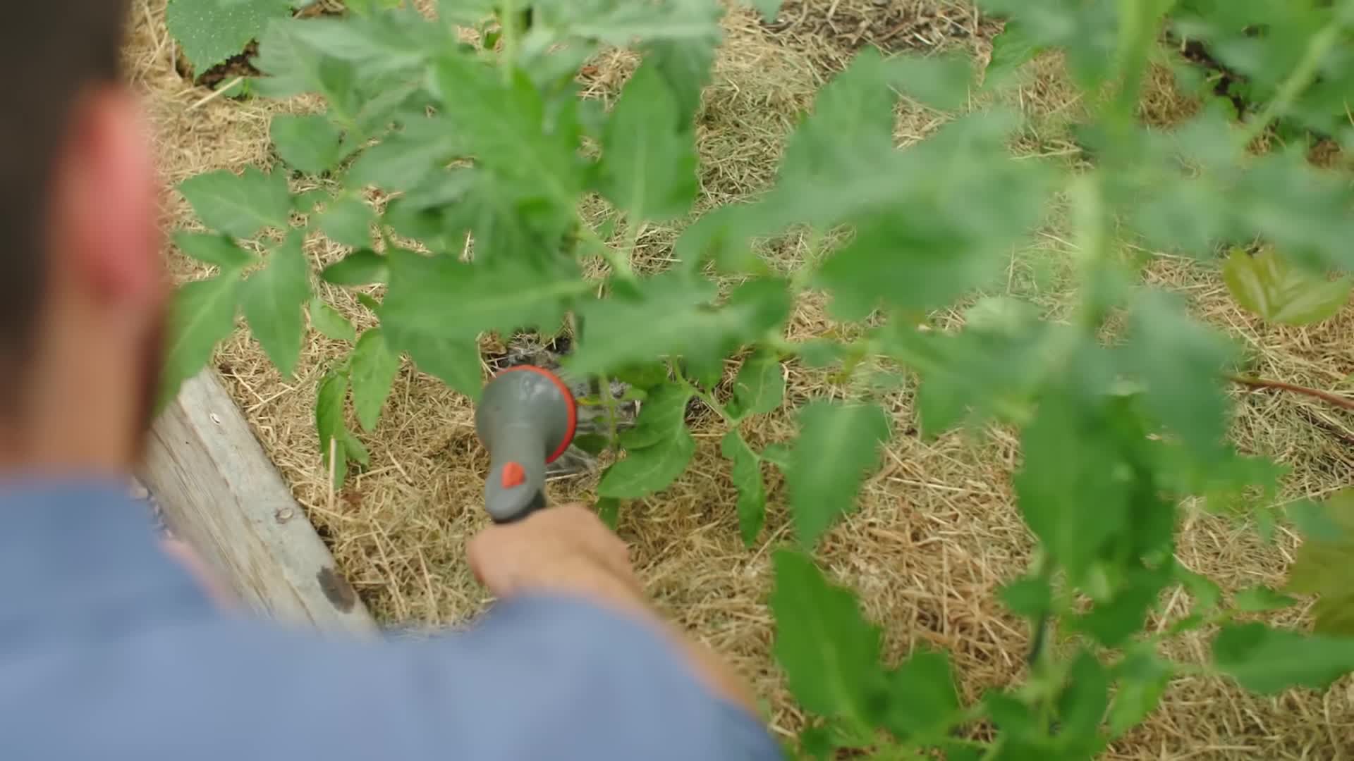 A simple and practical approach to growing food affordably