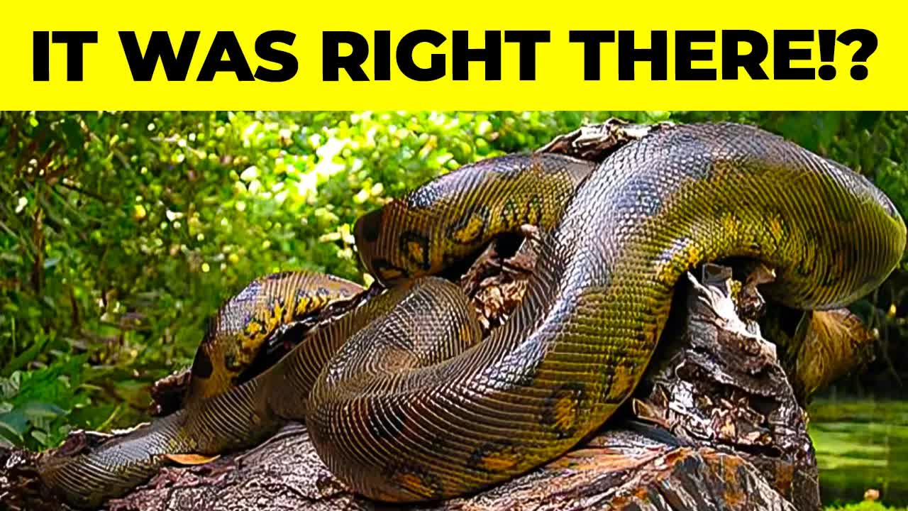 25 Strange New Species Scientists Recently Discovered