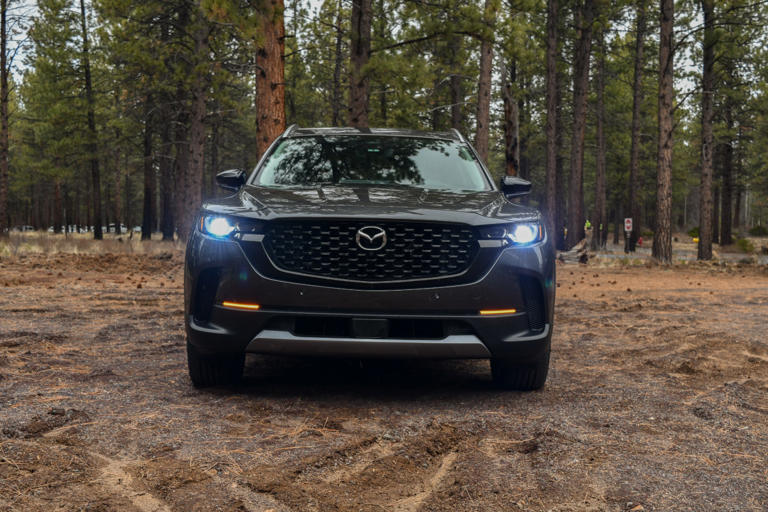 Would You Be At Fault for Rear-Ending a Car in the Rain If Its Lights ...