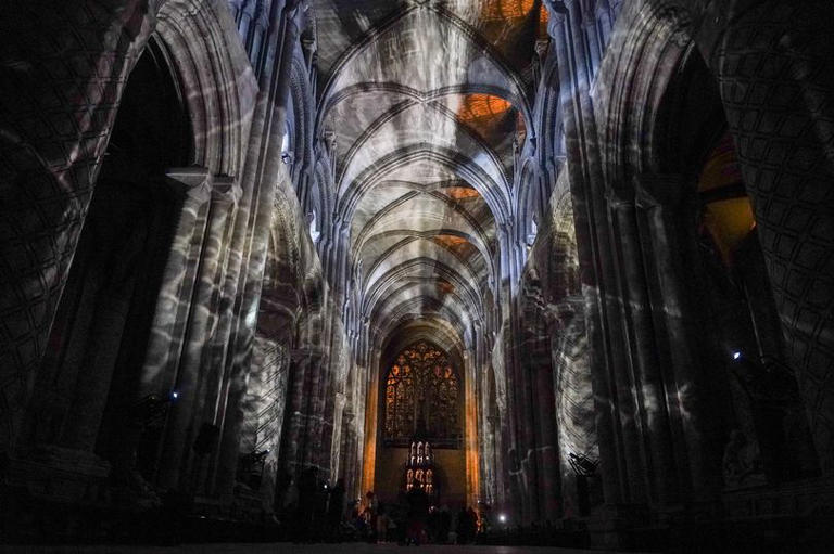 Drivers urged to put tea bags in cars to tackle nightmare winter issue