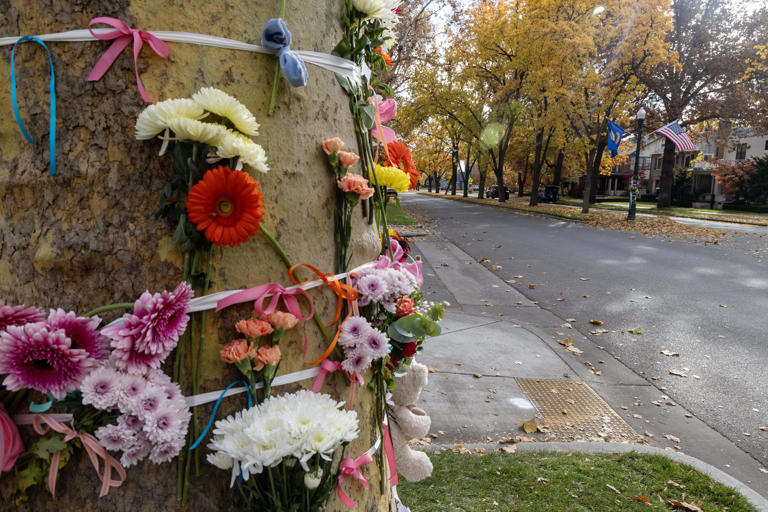 Girl fatally struck in North End was Boise elementary student, district ...