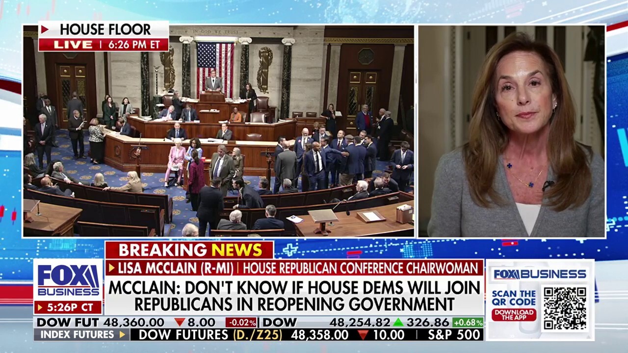 Democrats don't 'serve' the American people, says Rep. Lisa McClain