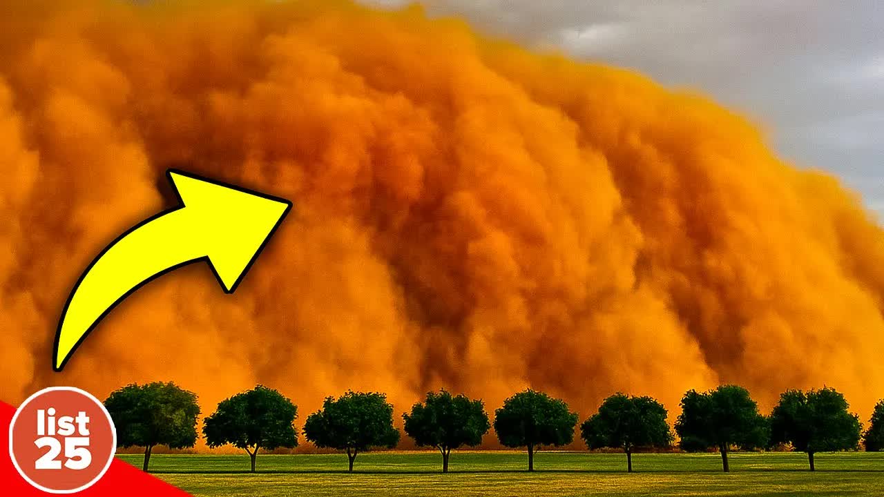 25 Astonishing Random Facts That Rewrite the Rules