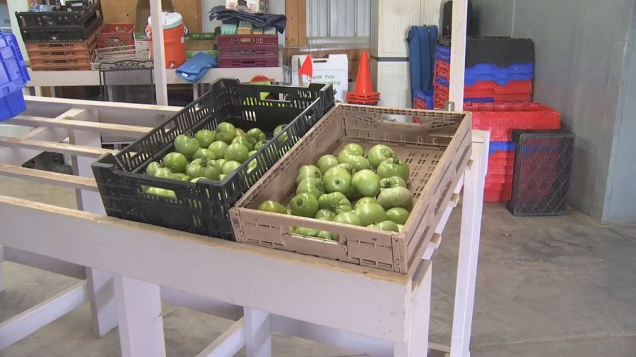 Seton Harvest and Ascension Saint Vincent team up to fight food insecurity