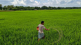 Lack of assured irrigation leaves farmers idle in rabi crop season in ...