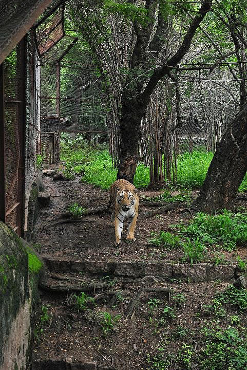 Children's Day 2025: 5 Fun Places In Mumbai To Visit With Your Kids